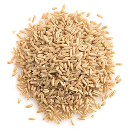 Organic Oat Groats | Organic Grains & Cereals | Affordable Wholefoods